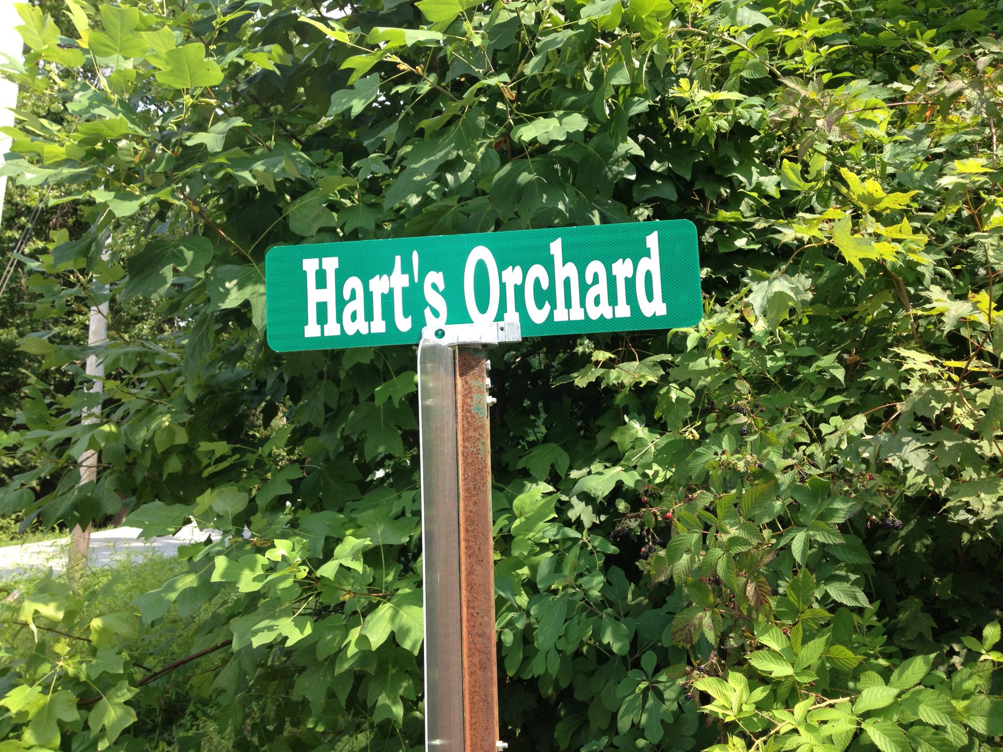 new hunting post - Kentucky Land and Timber Kentucky Land and Timber